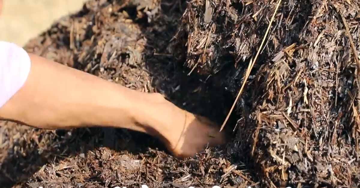 Shivansh Fertilizer Khad [Preparation Process, Uses, Benefits]