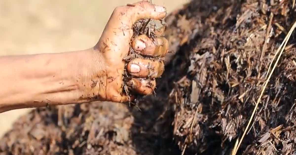 Shivansh Fertilizer Khad [Preparation Process, Uses, Benefits]