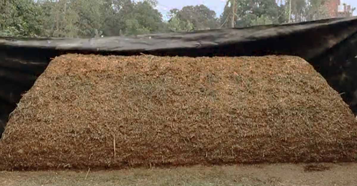 Shivansh Fertilizer Khad [Preparation Process, Uses, Benefits]