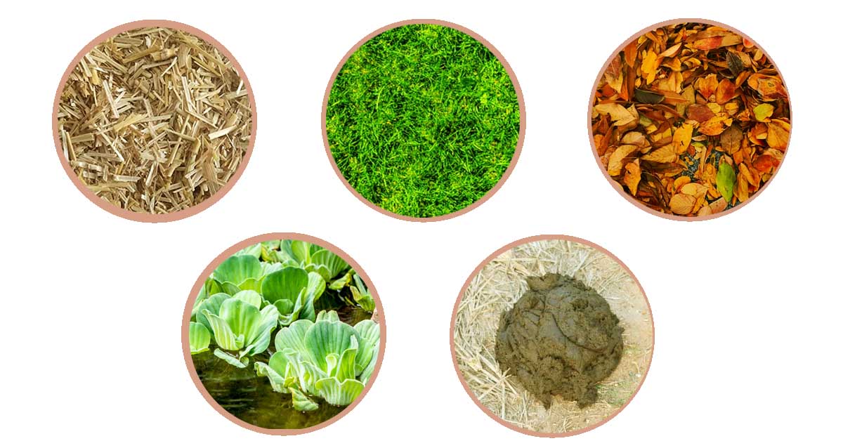 Shivansh Fertilizer Khad [Preparation Process, Uses, Benefits]