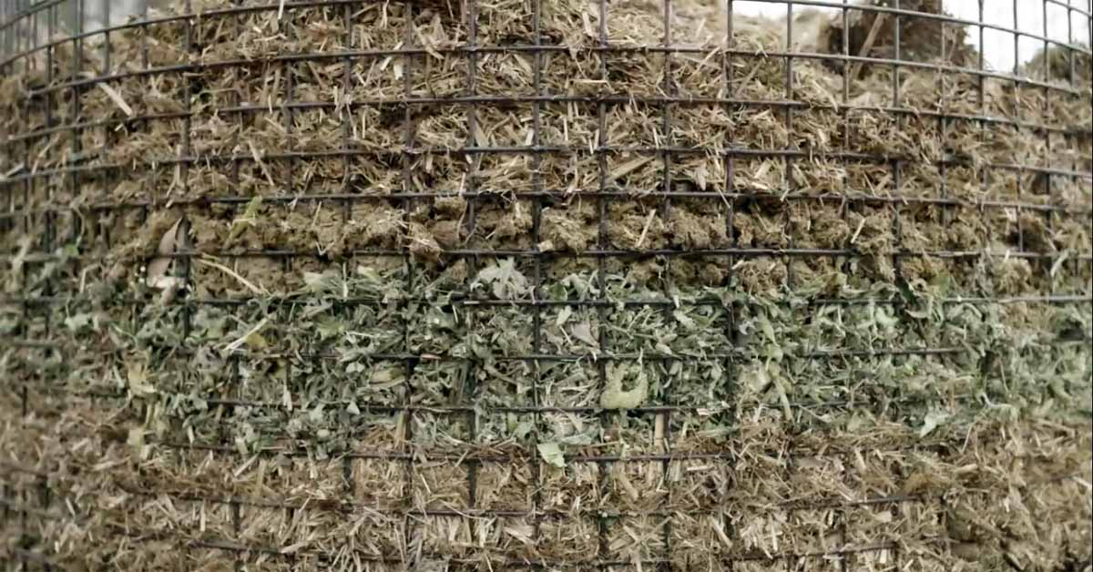 Shivansh Fertilizer Khad [Preparation Process, Uses, Benefits]