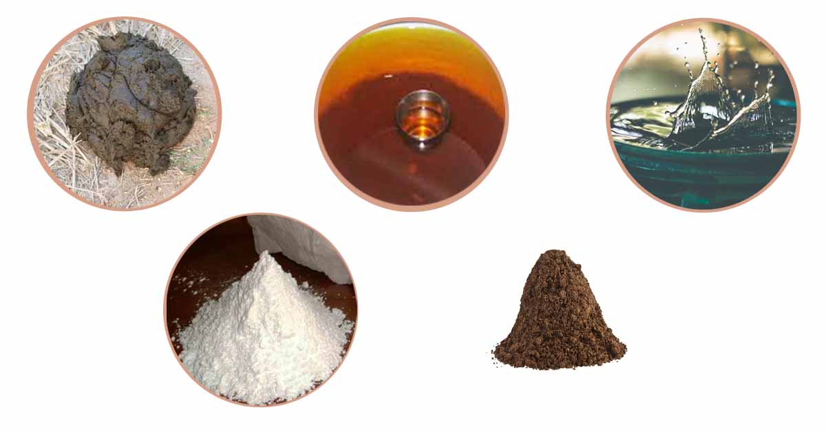 Beejamrit [Preparation Process, Uses, Benefits, Differences] – Growtre