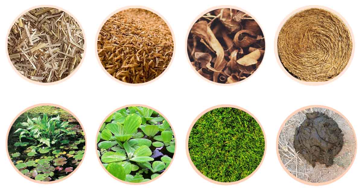 Shivansh Fertilizer Khad [Preparation Process, Uses, Benefits]