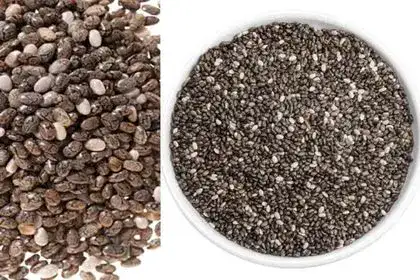 Chia Seeds In Bengali Name [7+ Benefits, Side Effect, Nutrient, Price]